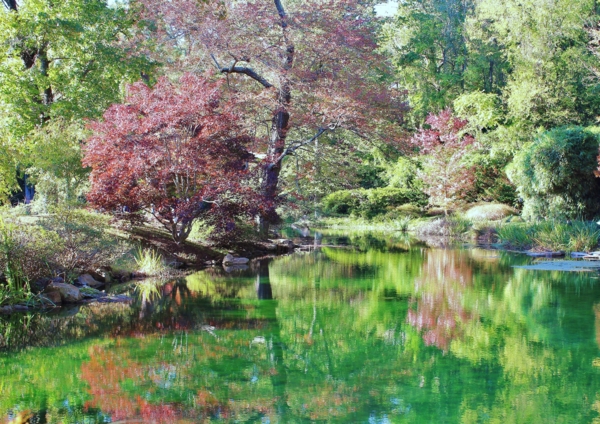 Slawek Aniol - Official Website